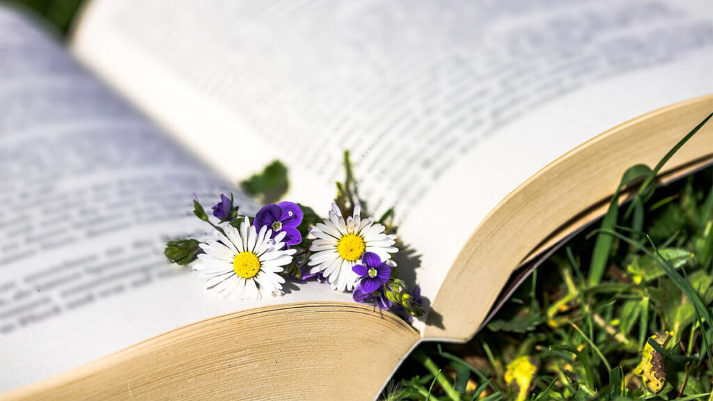 iichiでハンドメイド作品が売れないのは本当？【売れるコツ】